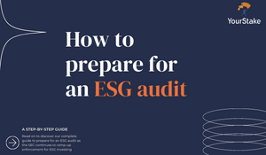 ESG Audit Guide - YourStake
